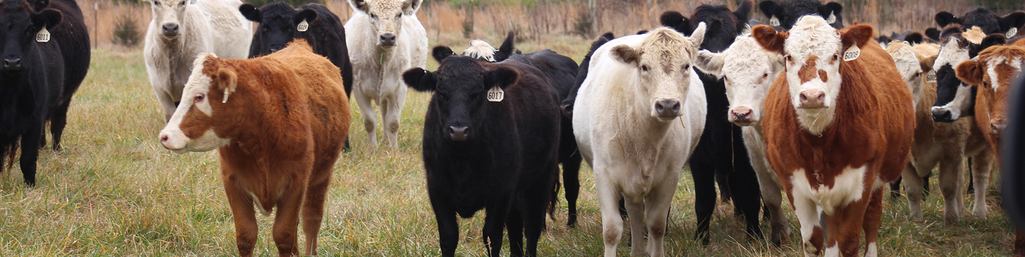 Animals - Arkansas Department of Agriculture