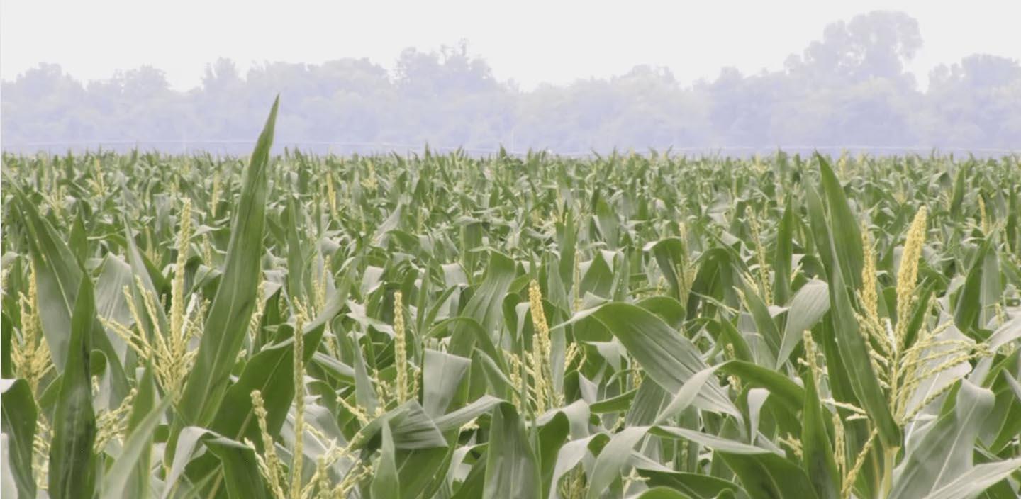 Training - Arkansas Department of Agriculture